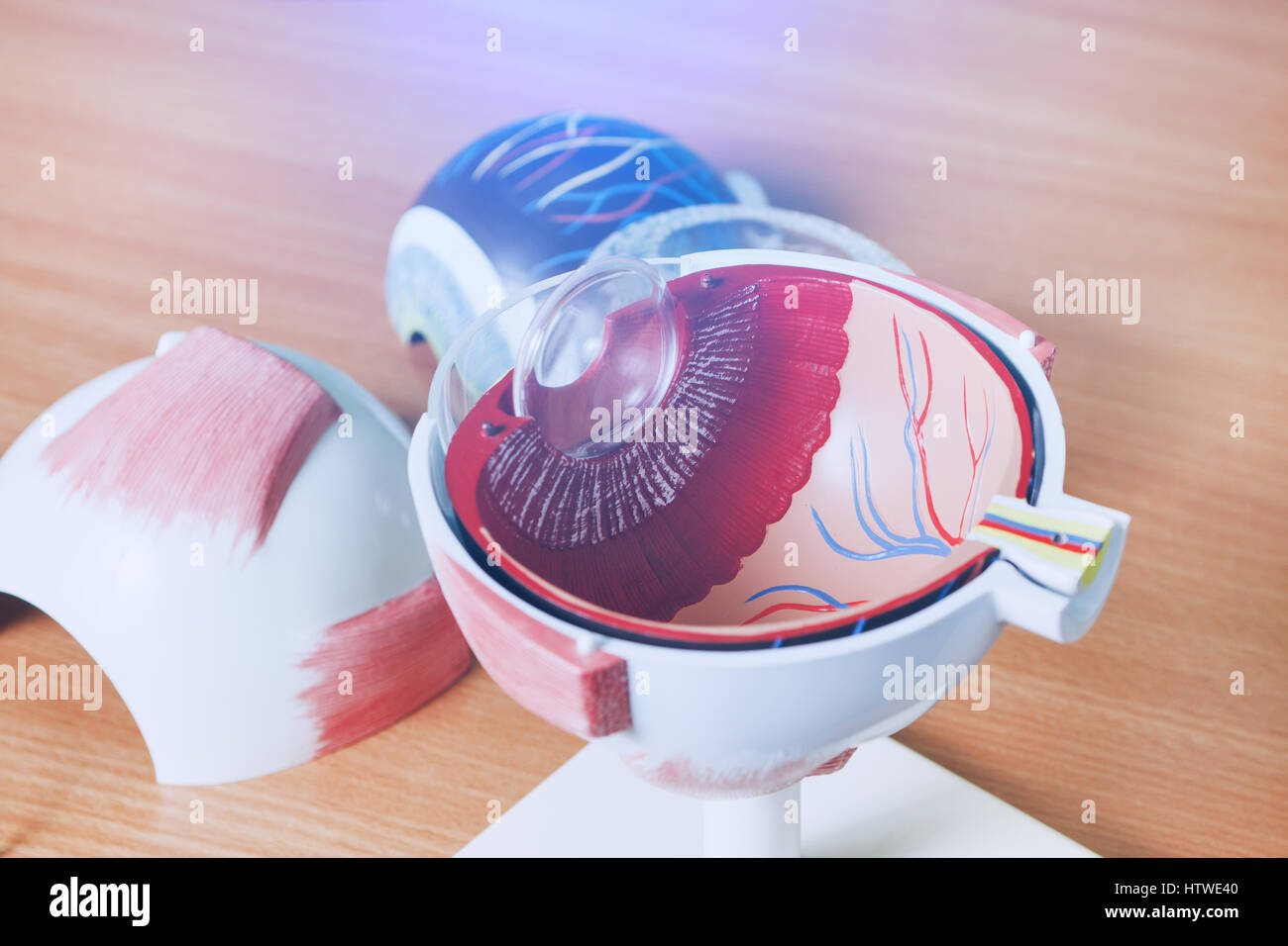 Ophthalmology oculus sample closeup Stock Photo - Alamy