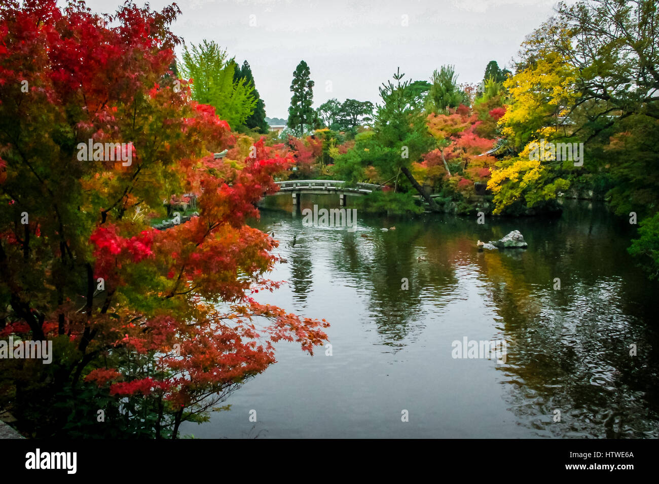 Red bridge with fall foliage hi-res stock photography and images - Alamy