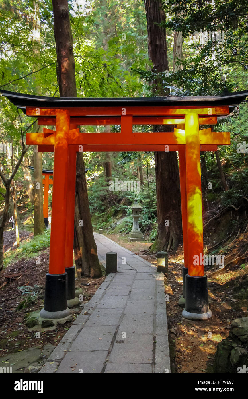 Torii gates in Fushimi Inari Shrine - Kyoto, Japan Stock Photo - Alamy