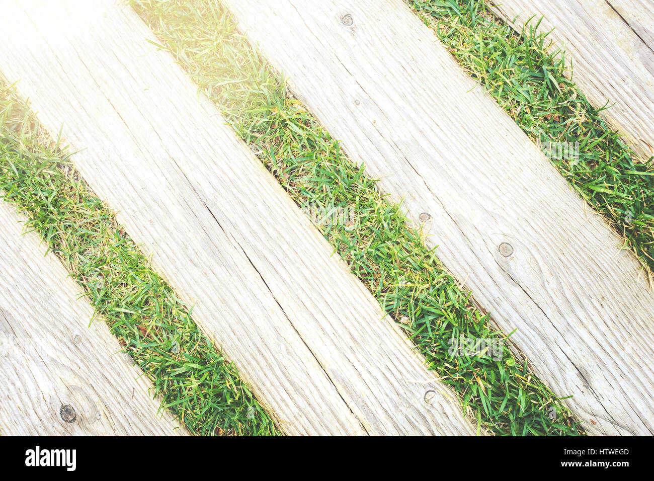 abstract nature background, grass and wooden plank in the garden Stock ...