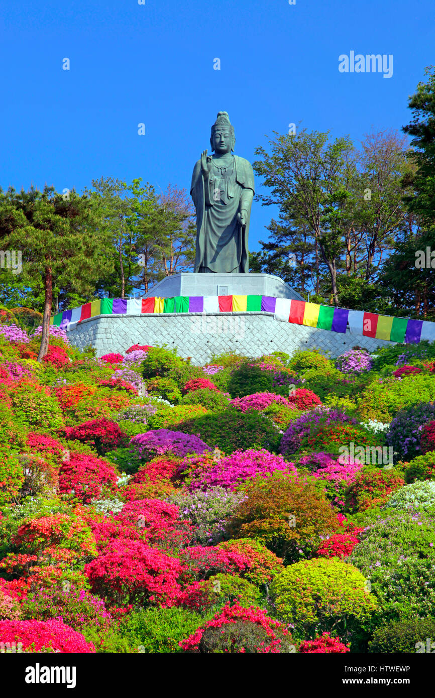 The Azareas Shiofune Kannon Temple Ome city Tokyo Japan Stock Photo - Alamy