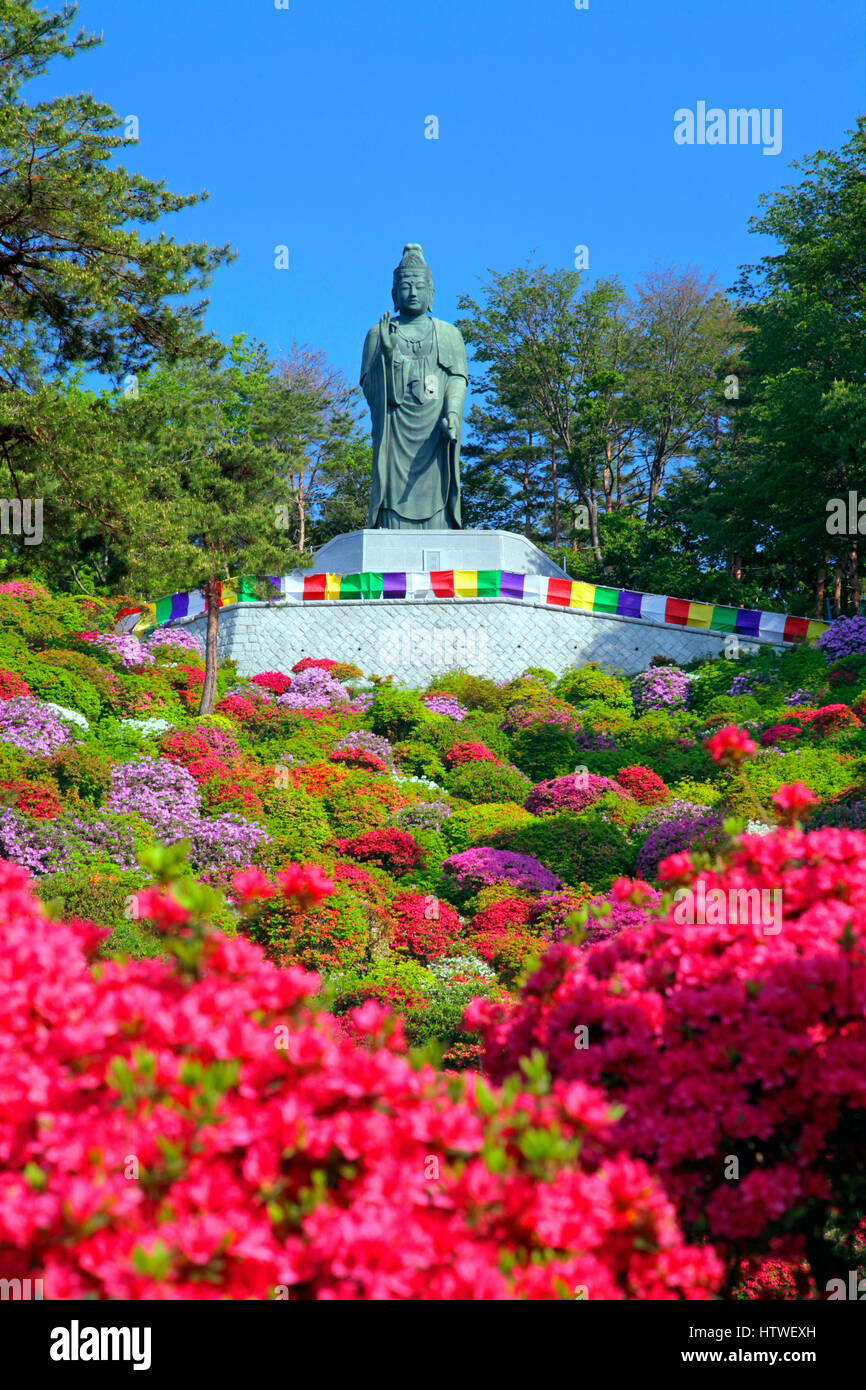 The Azareas Shiofune Kannon Temple Ome city Tokyo Japan Stock Photo - Alamy