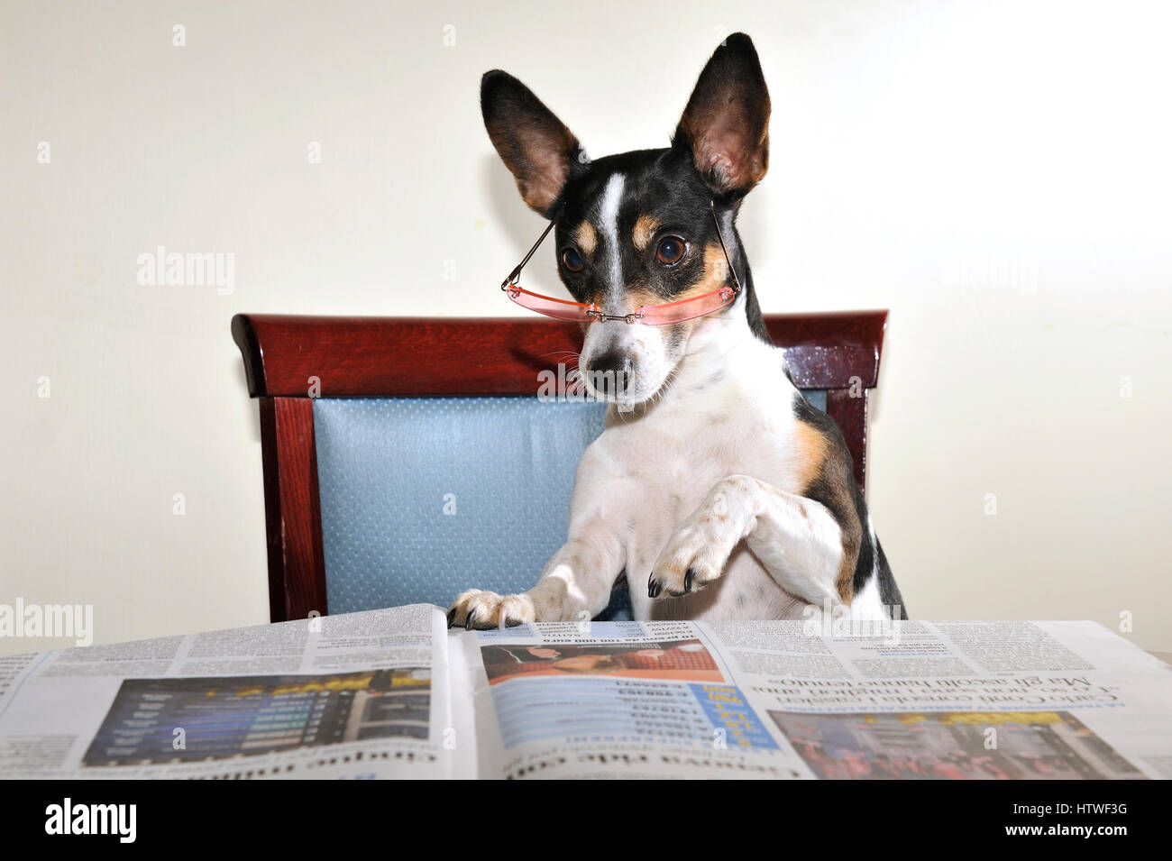 Reading glassess hi-res stock photography and images - Alamy