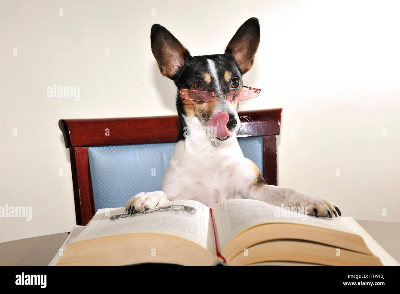 Reading glassess hi-res stock photography and images - Alamy