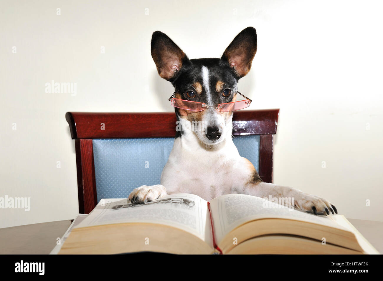 Jack book cover hi-res stock photography and images - Alamy