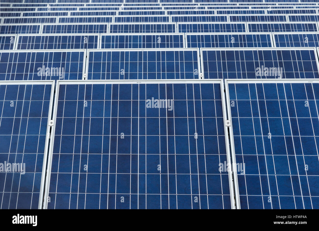 Solar panels in array Capturing sunlight to convert it to green ...