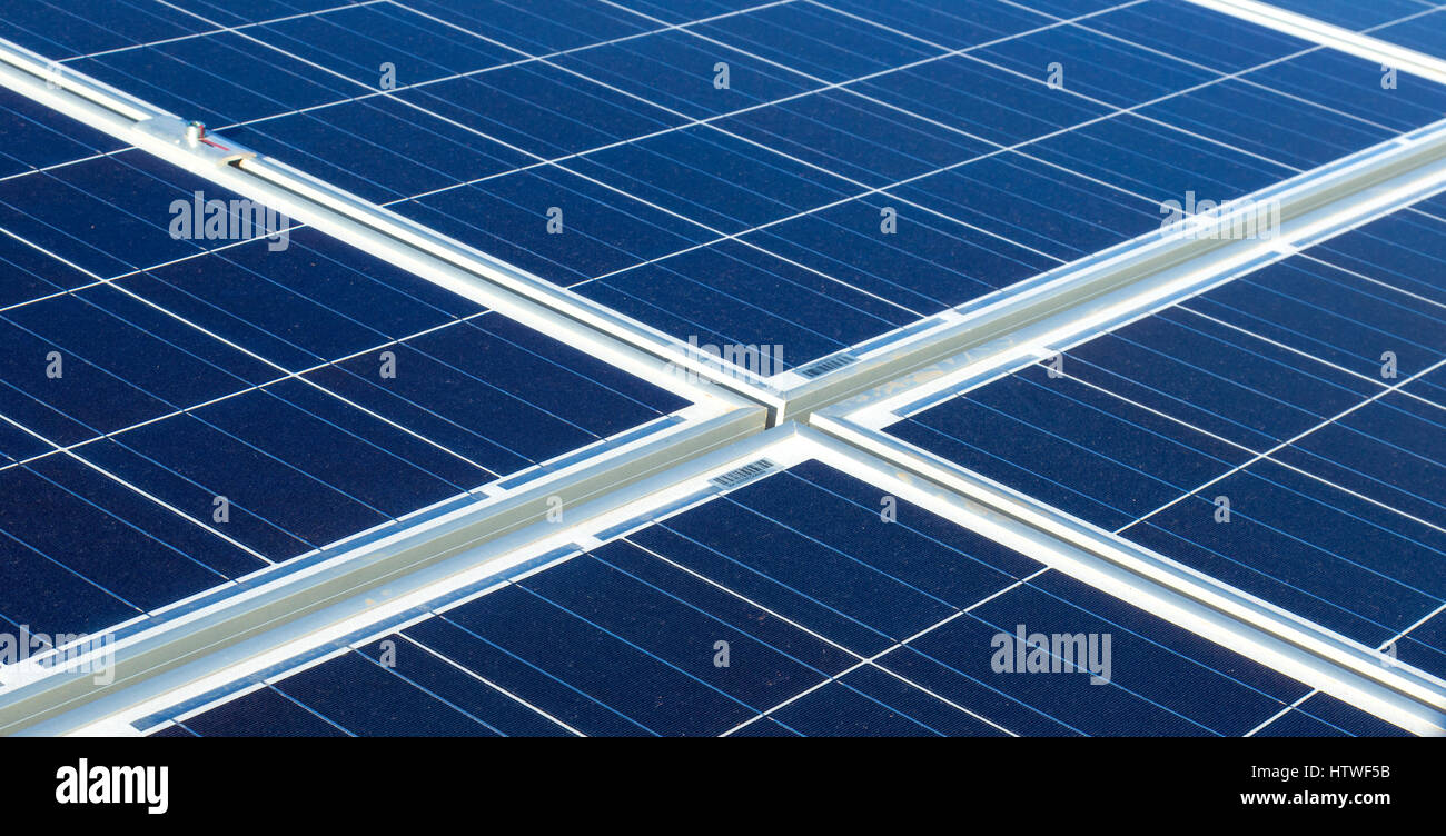 Solar panels in array Capturing sunlight to convert it to green ...