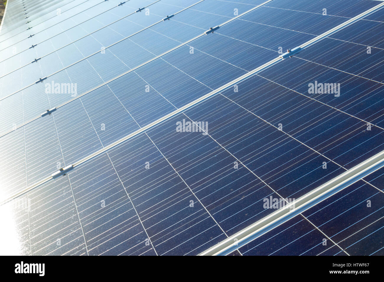 Solar panels in array Capturing sunlight to convert it to green ...