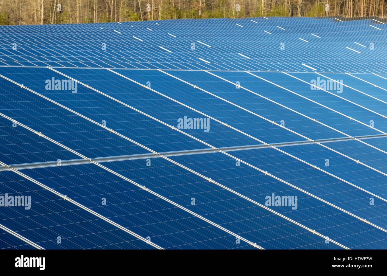 Solar panels in array Capturing sunlight to convert it to green ...
