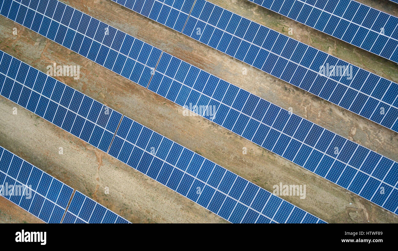 Solar panels in array Capturing sunlight to convert it to green ...