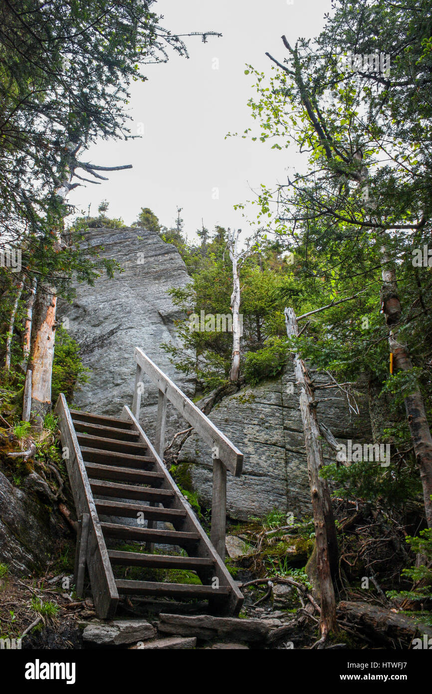 stairway in a hiking trail in mont sutton Stock Photo - Alamy