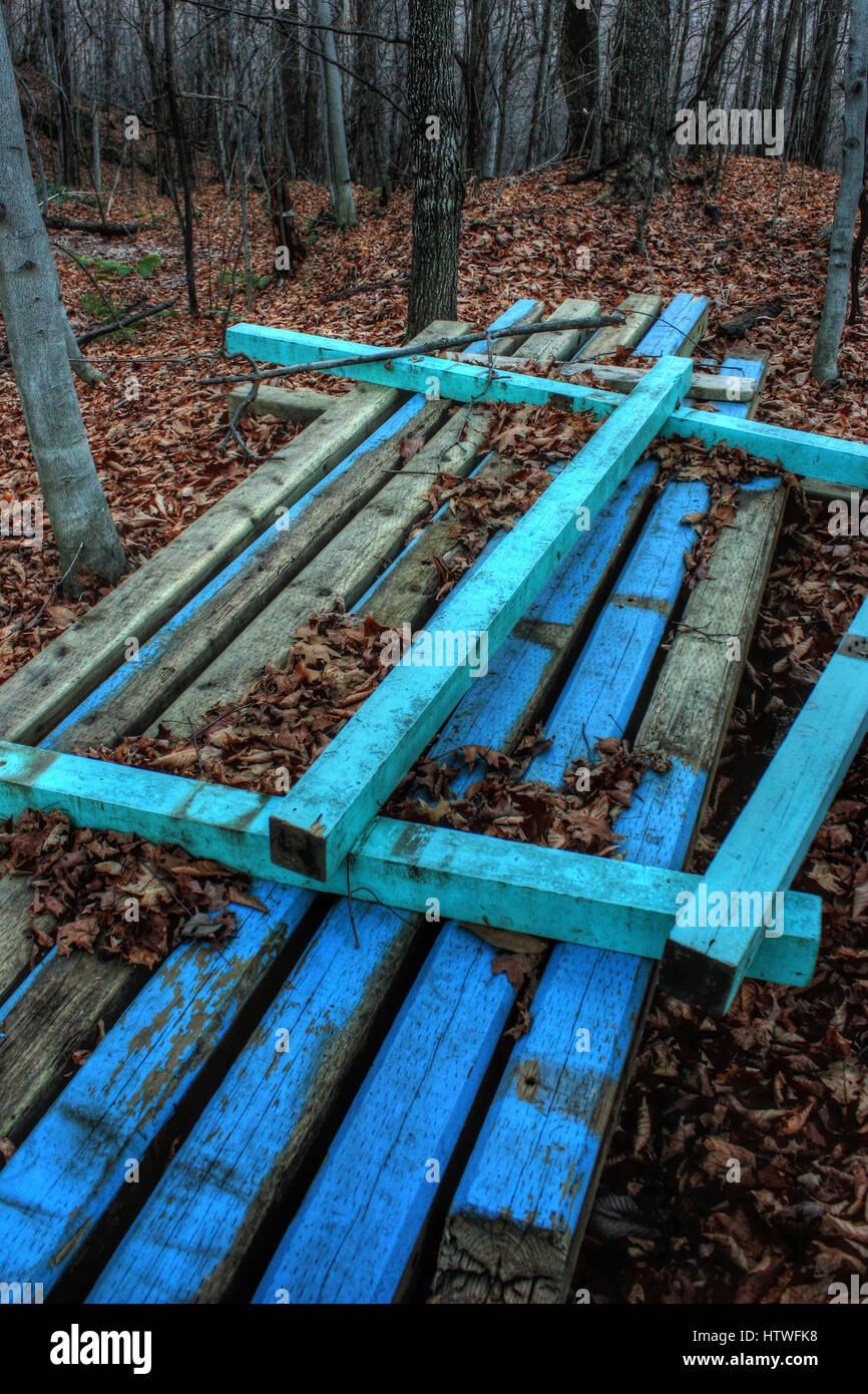 blue wood in the forest Stock Photo - Alamy