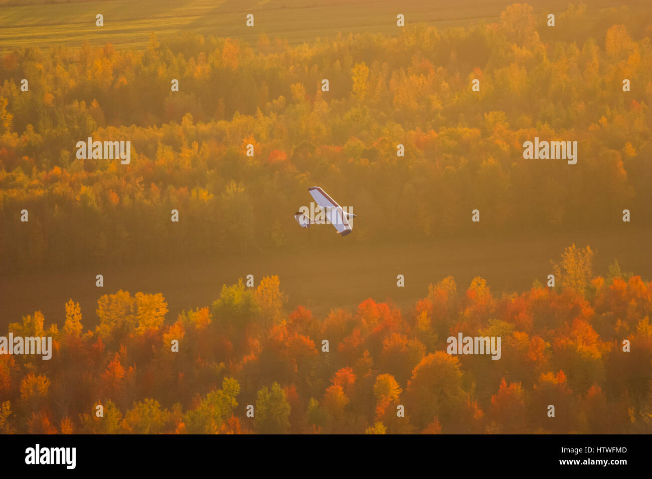Flying over the forest hi-res stock photography and images - Alamy