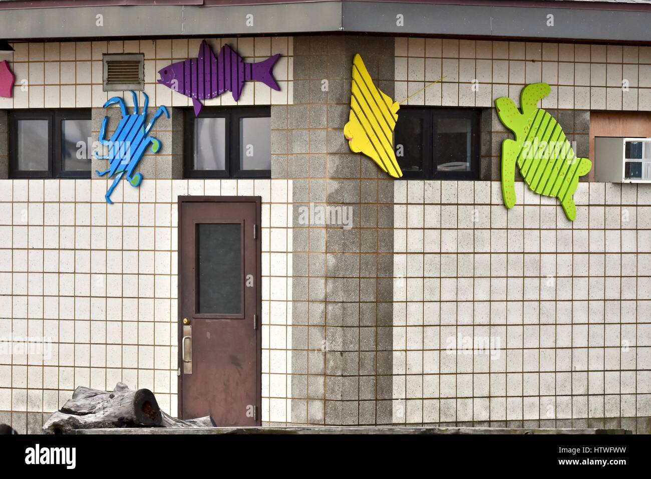 Sea life art hi-res stock photography and images - Alamy