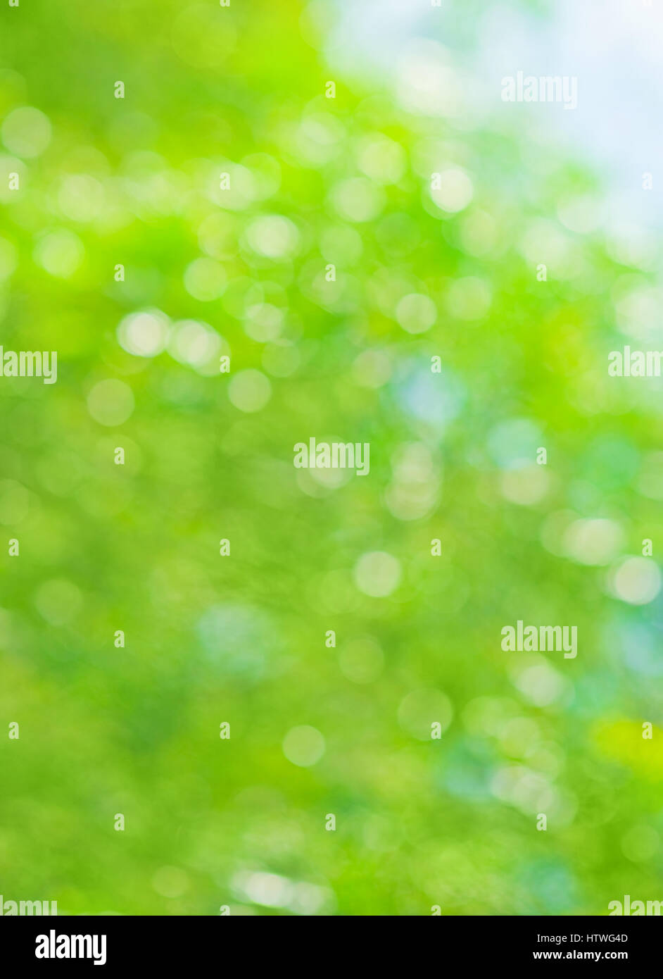 Light boke hi-res stock photography and images - Alamy