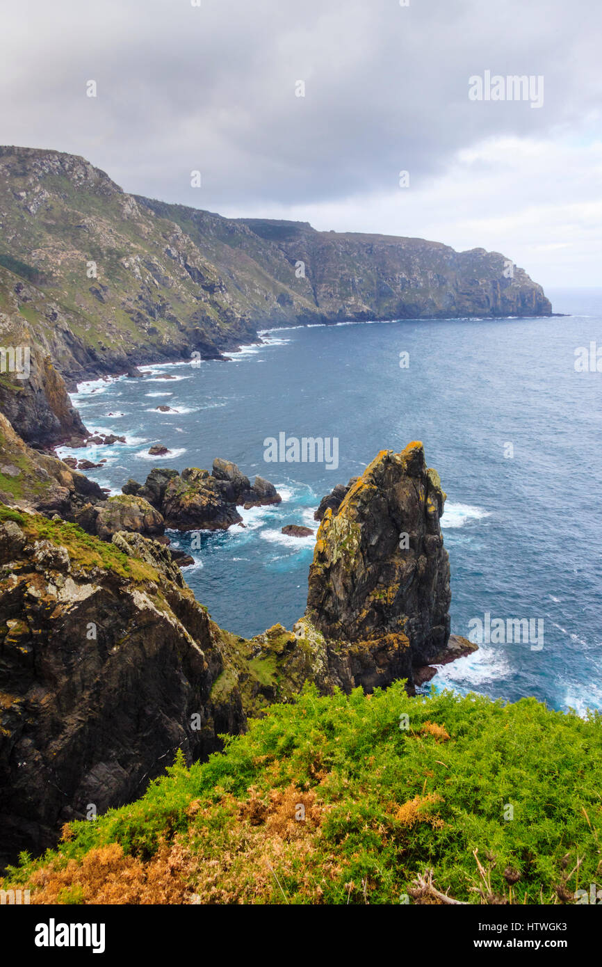 Cliffs at Cabo Ortegal cape, the highest cliffs in Europe. Coruña ...