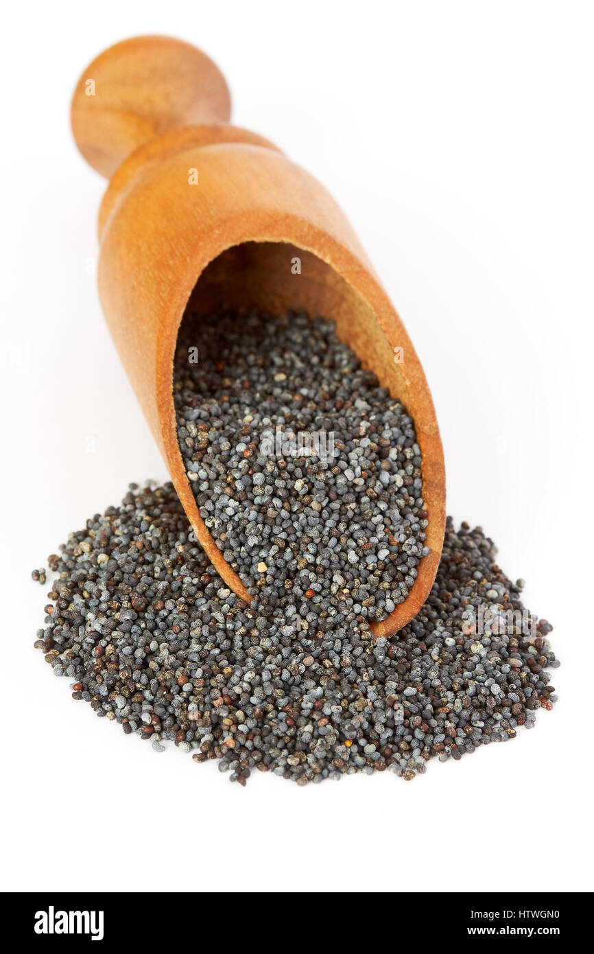 Dry poppy seeds with wooden scoop isolated on white background Stock ...