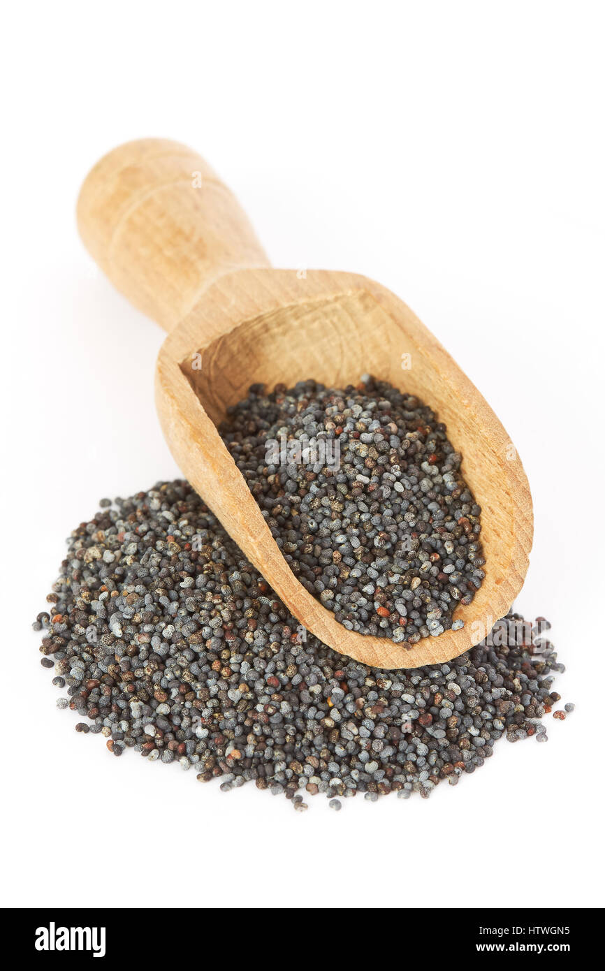 Dry poppy seeds with wooden scoop isolated on white background Stock ...