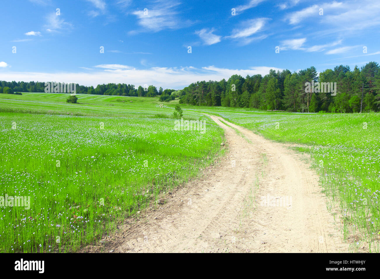 beautiful field and road Stock Photo - Alamy