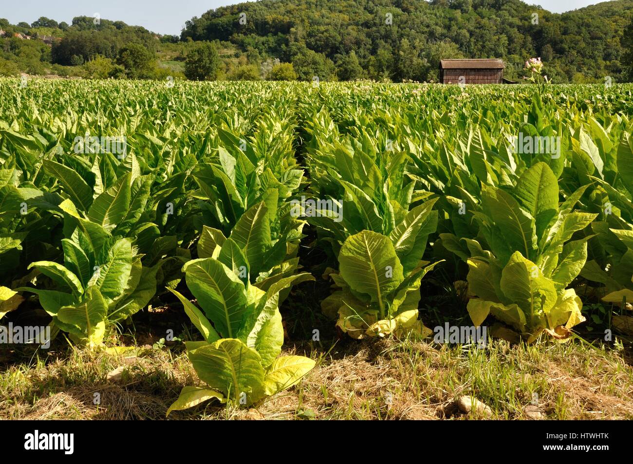 Paysage de dordogne hi-res stock photography and images - Alamy