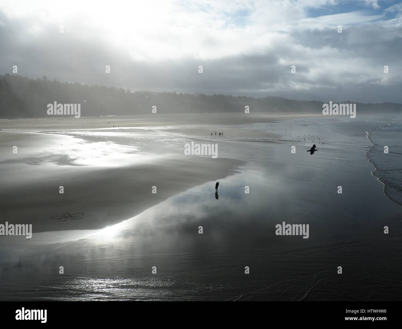 Sun Reflecting on the Beach Stock Photo - Alamy