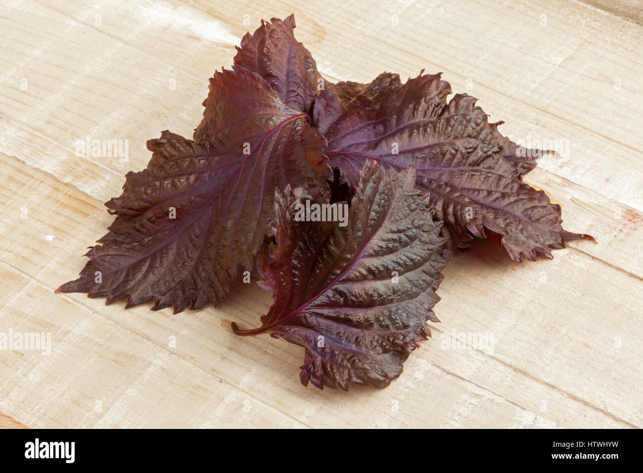 Fresh red organic shiso leaves Stock Photo - Alamy