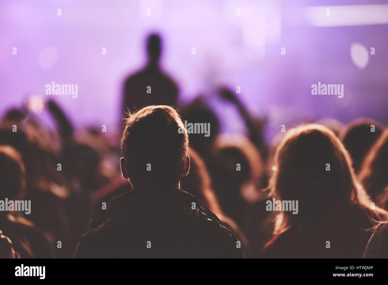 Rear view of crowd at a concert Stock Photo - Alamy