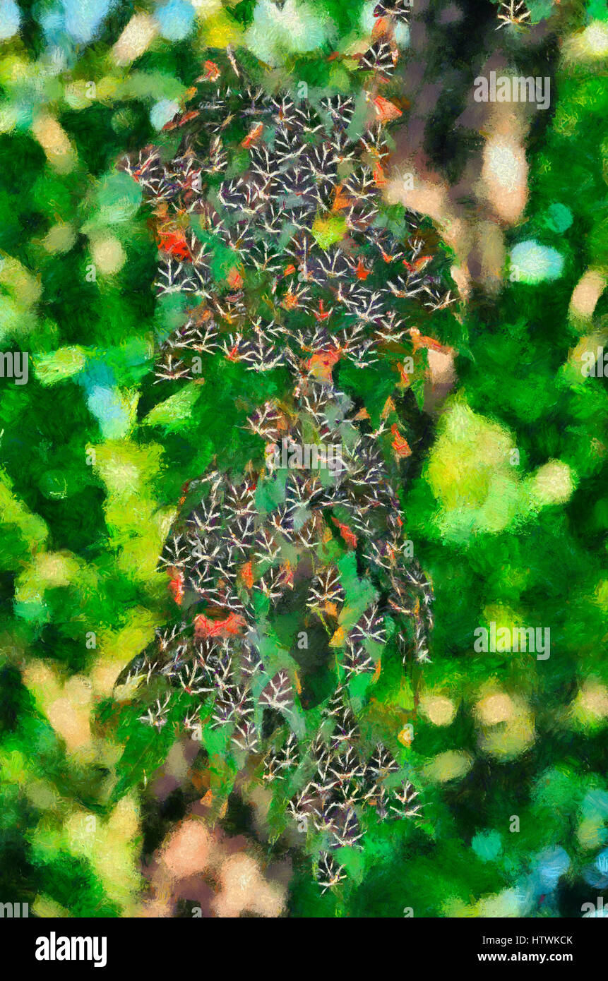 Butterflies at the valley of butterflies in Rhodes island, Greece Stock ...