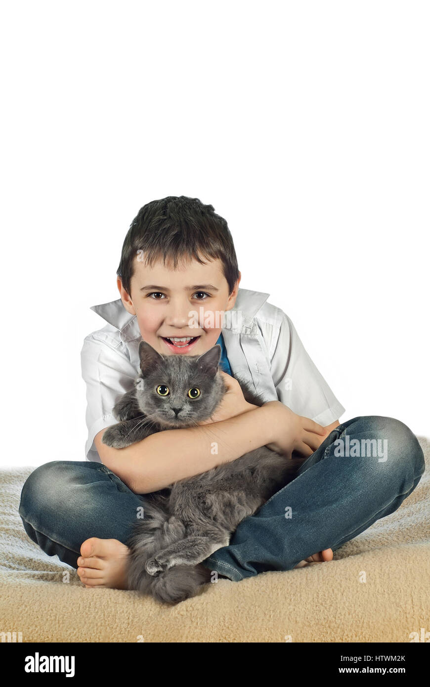 Boy with a gray cat on a white background Stock Photo - Alamy
