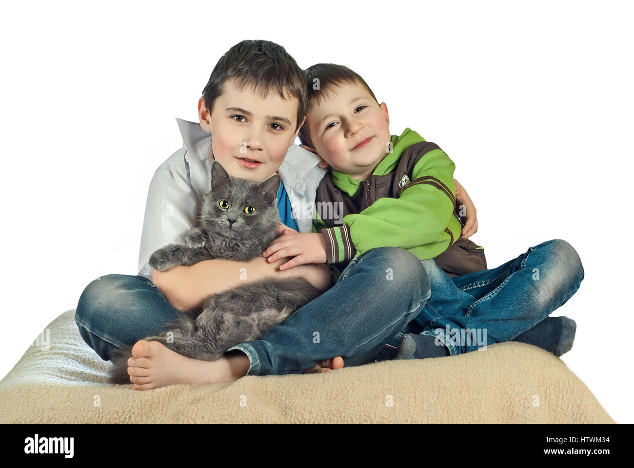 Boy with a gray cat on a white background Stock Photo - Alamy