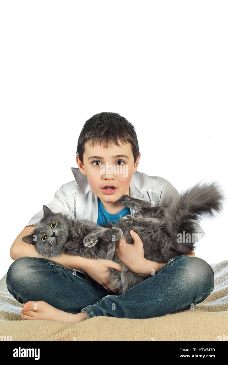 Boy with a gray cat on a white background Stock Photo - Alamy