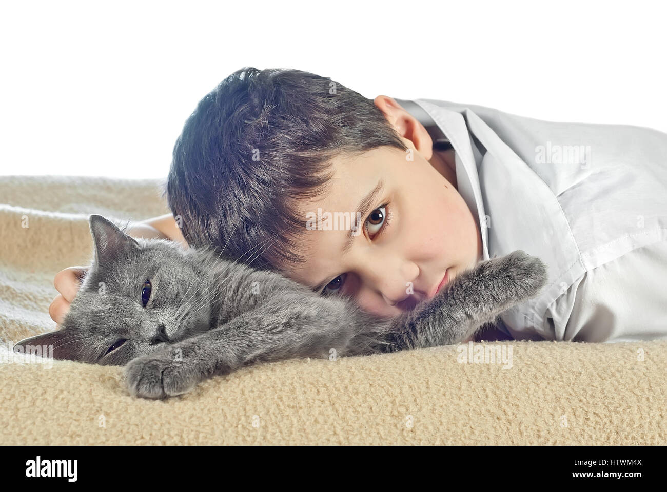 Boy with a gray cat on a white background Stock Photo - Alamy