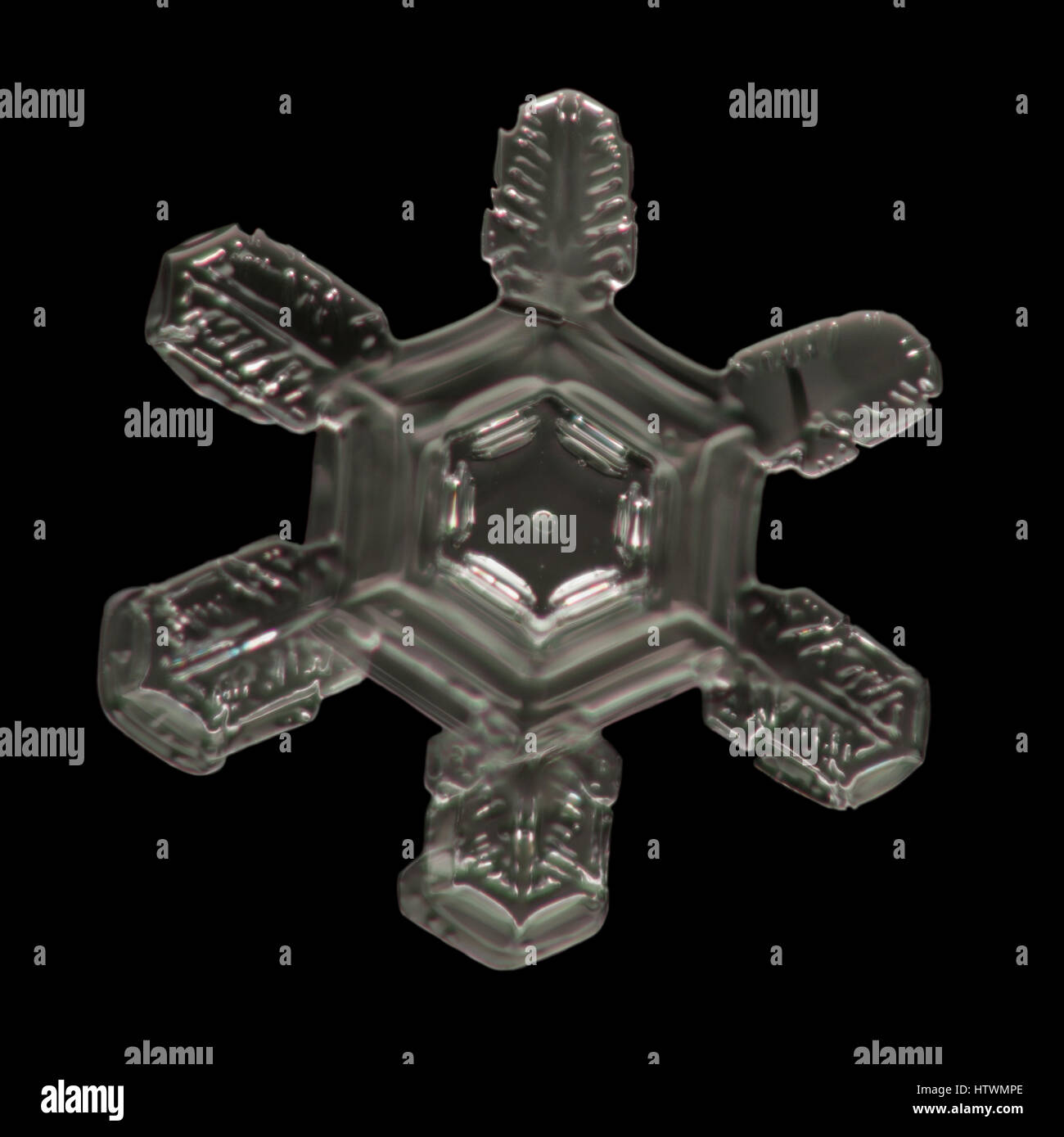Extreme magnification - Real snowflake on black background Stock Photo ...