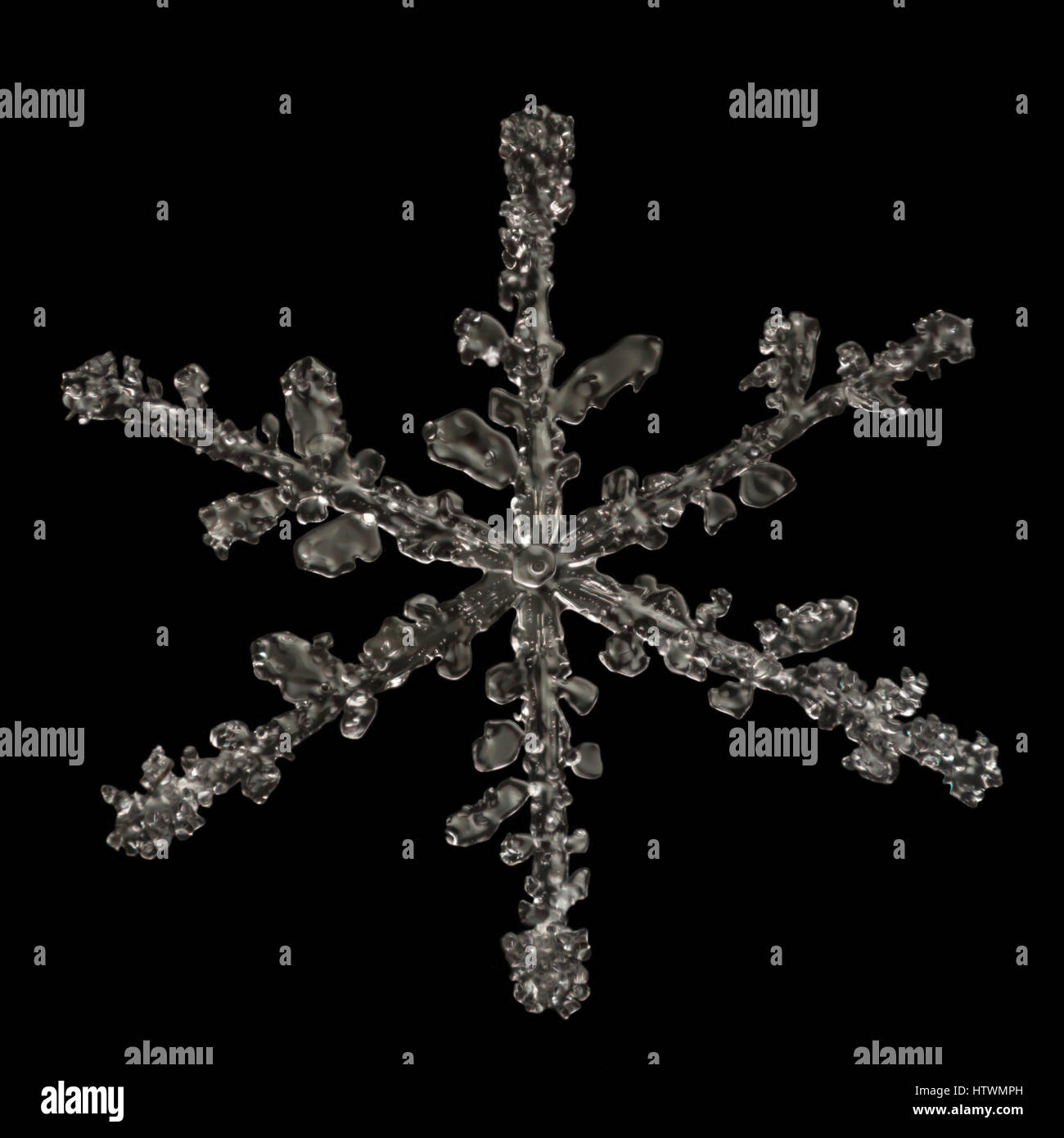 Extreme magnification - Real snowflake on black background Stock Photo ...