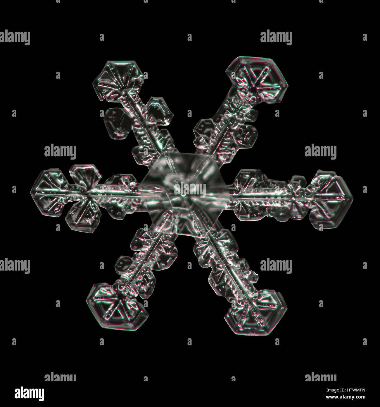 Extreme magnification - Real snowflake on black background Stock Photo ...