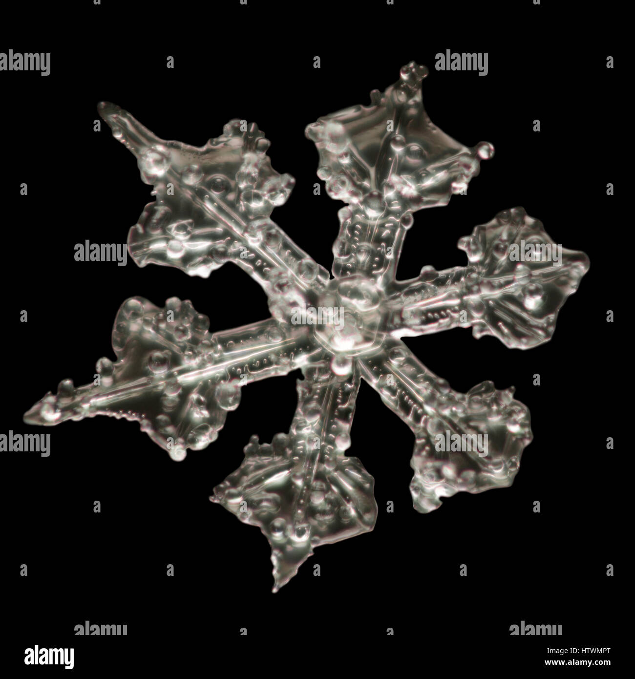 Extreme magnification - Real snowflake on black background Stock Photo ...