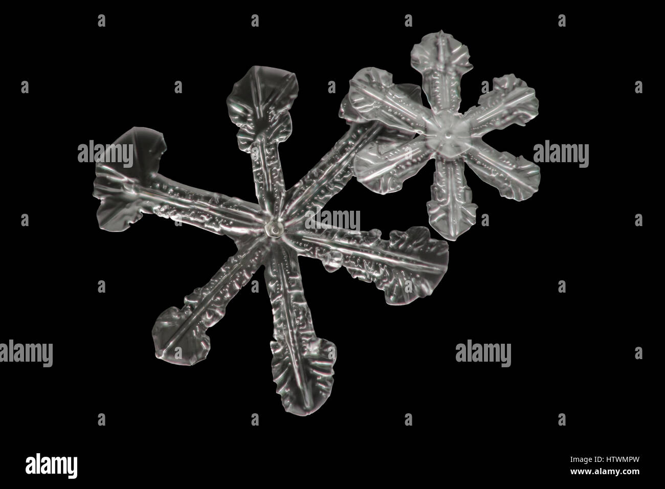 Extreme magnification - Real snowflake on black background Stock Photo ...
