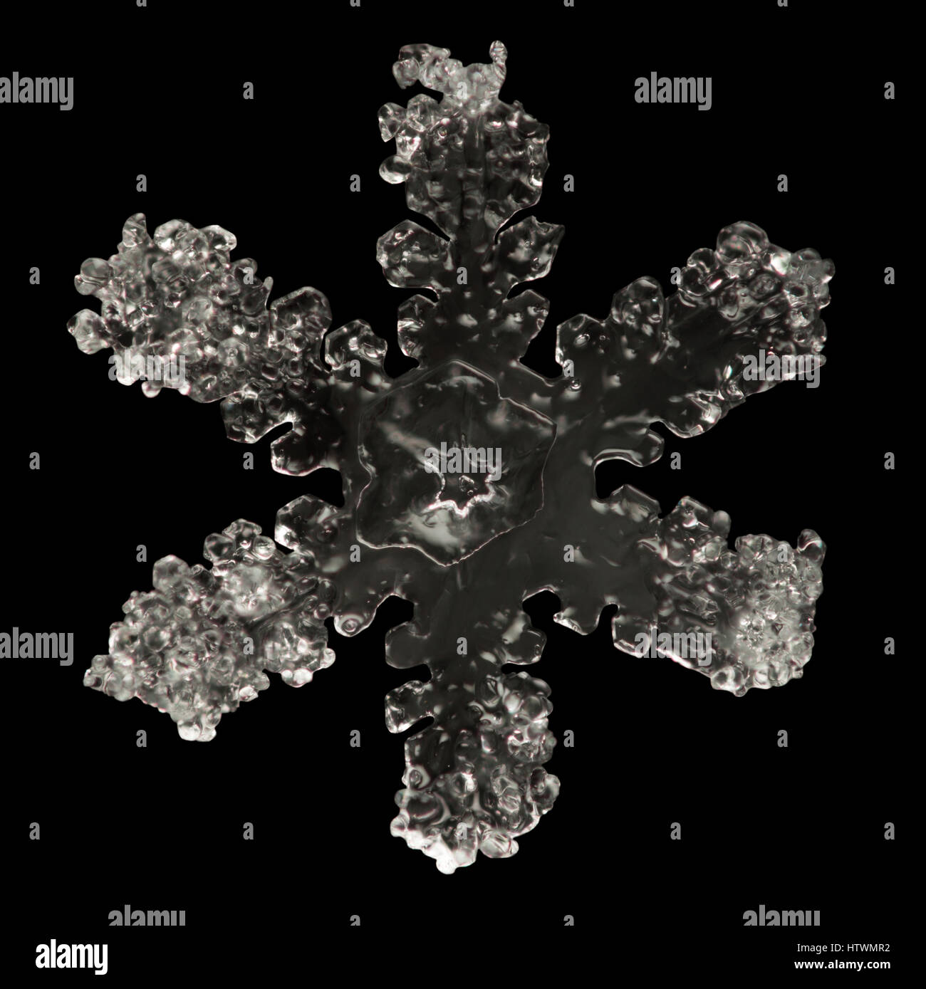 Extreme magnification - Real snowflake on black background Stock Photo ...