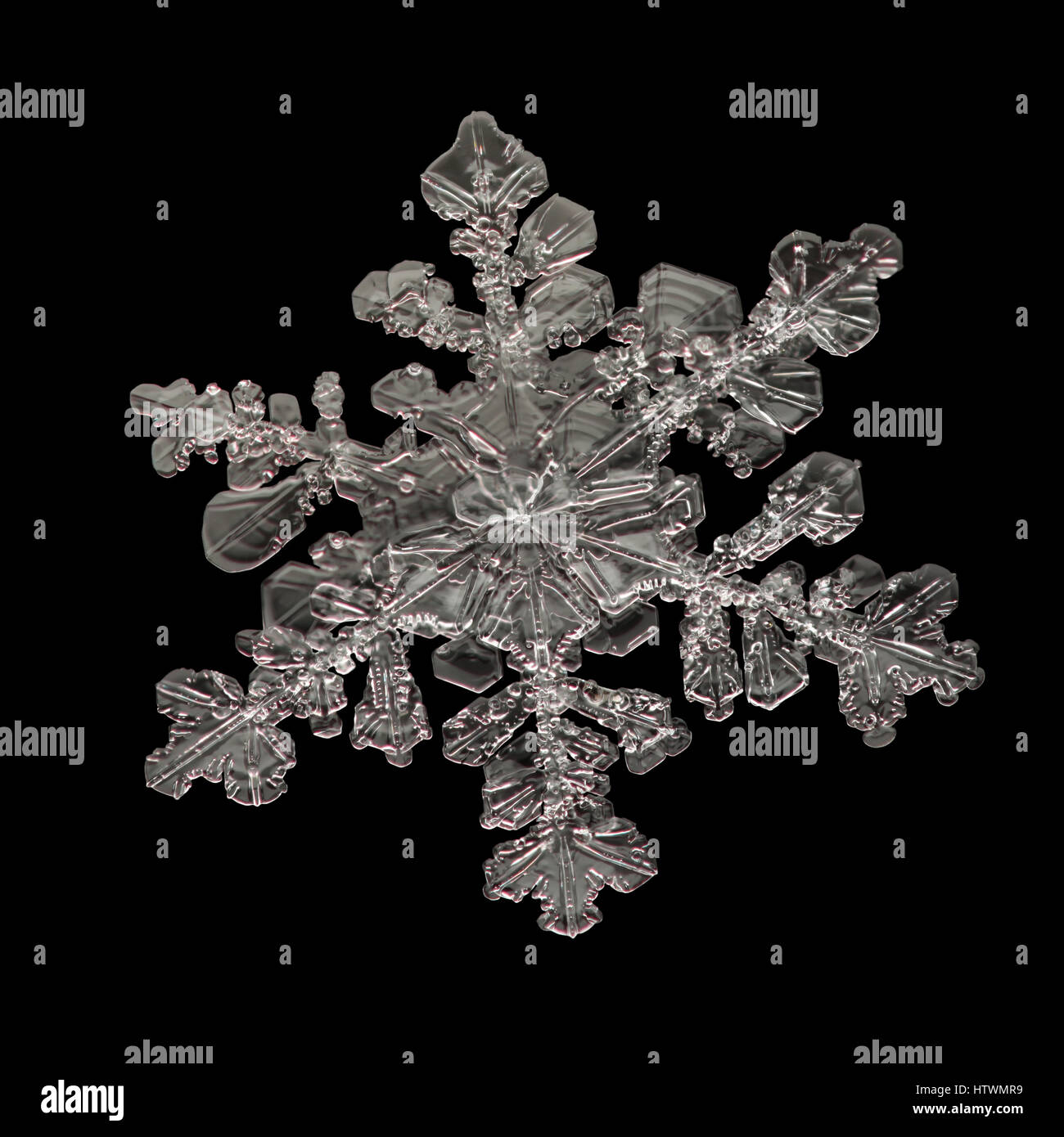 Real snowflake hi-res stock photography and images - Alamy