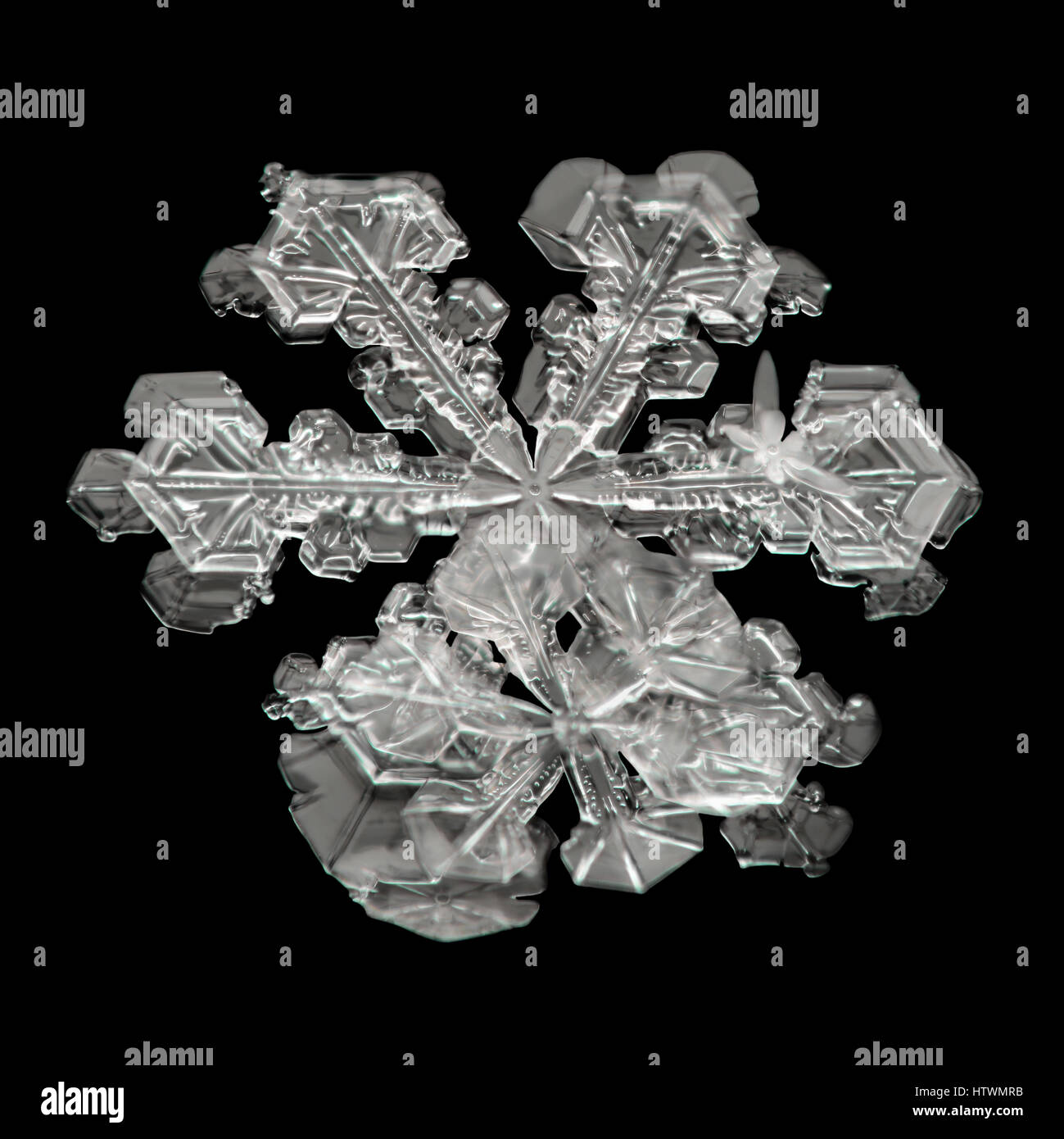 Extreme magnification - Real snowflake on black background Stock Photo ...