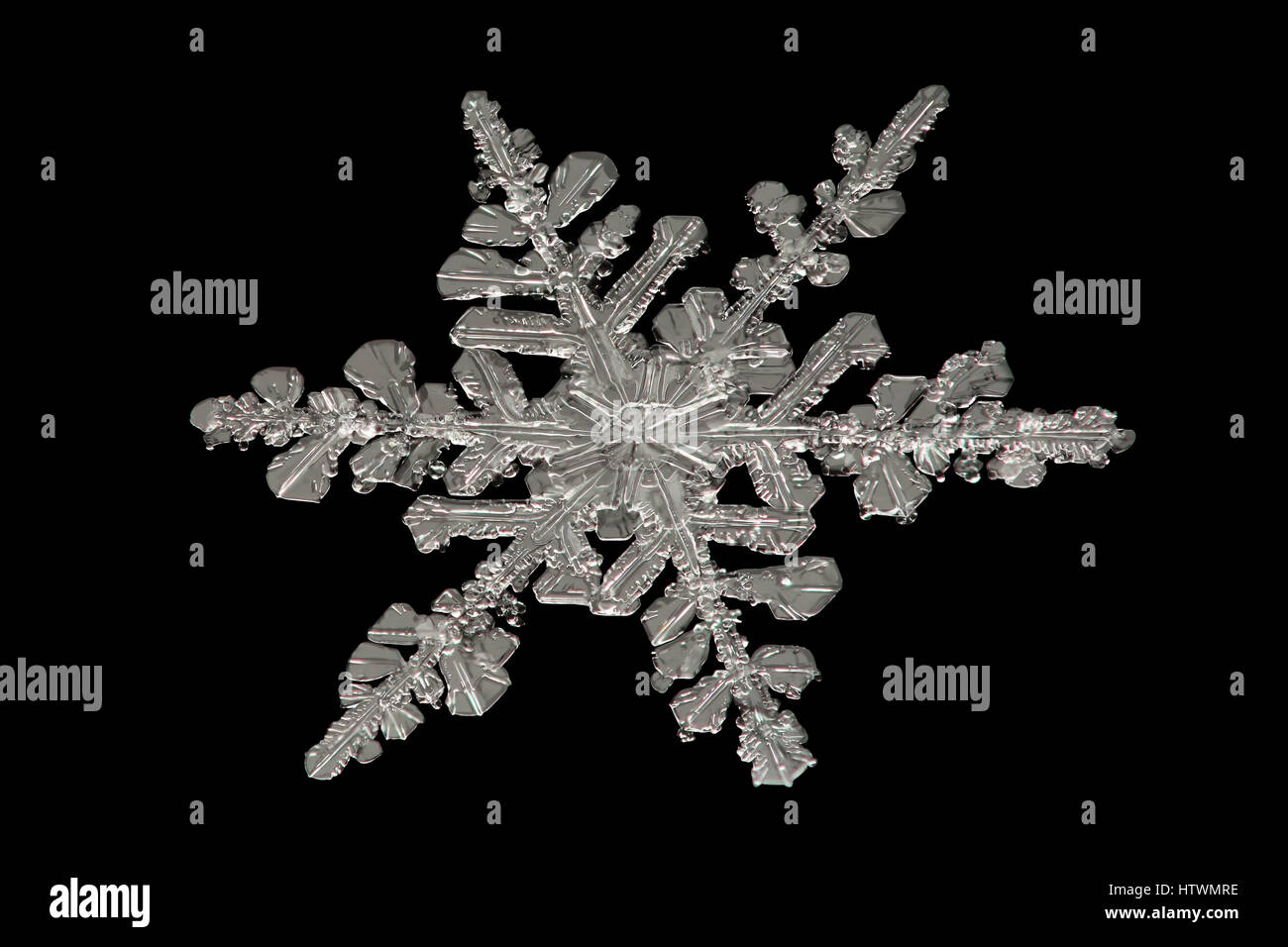 Extreme magnification - Real snowflake on black background Stock Photo ...