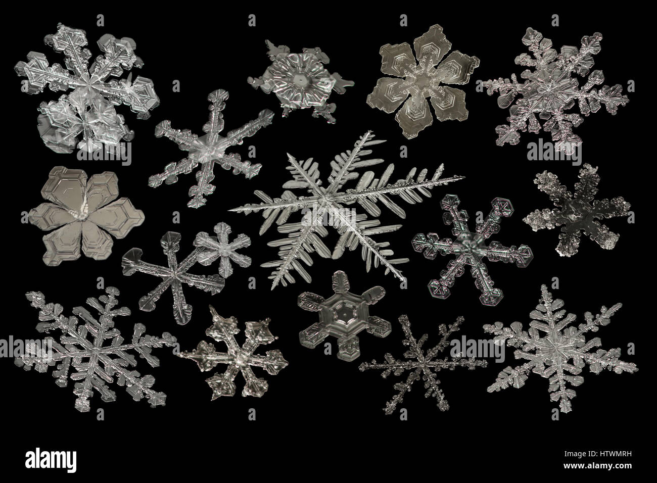 Extreme magnification - Real snowflake compilation on black background ...