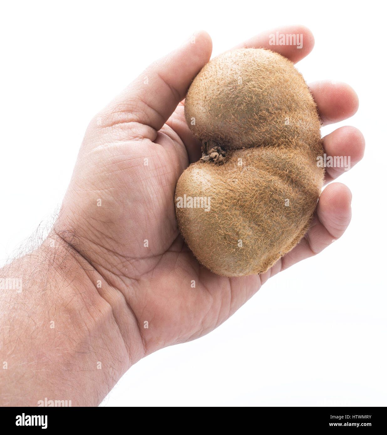 Kidney like kiwifruit in man's hand. Isolated on a white background ...