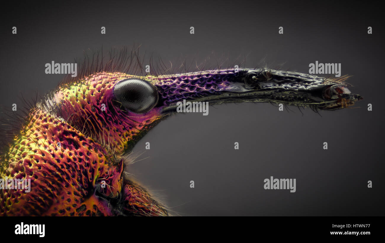 Extreme ecosystem hi-res stock photography and images - Alamy