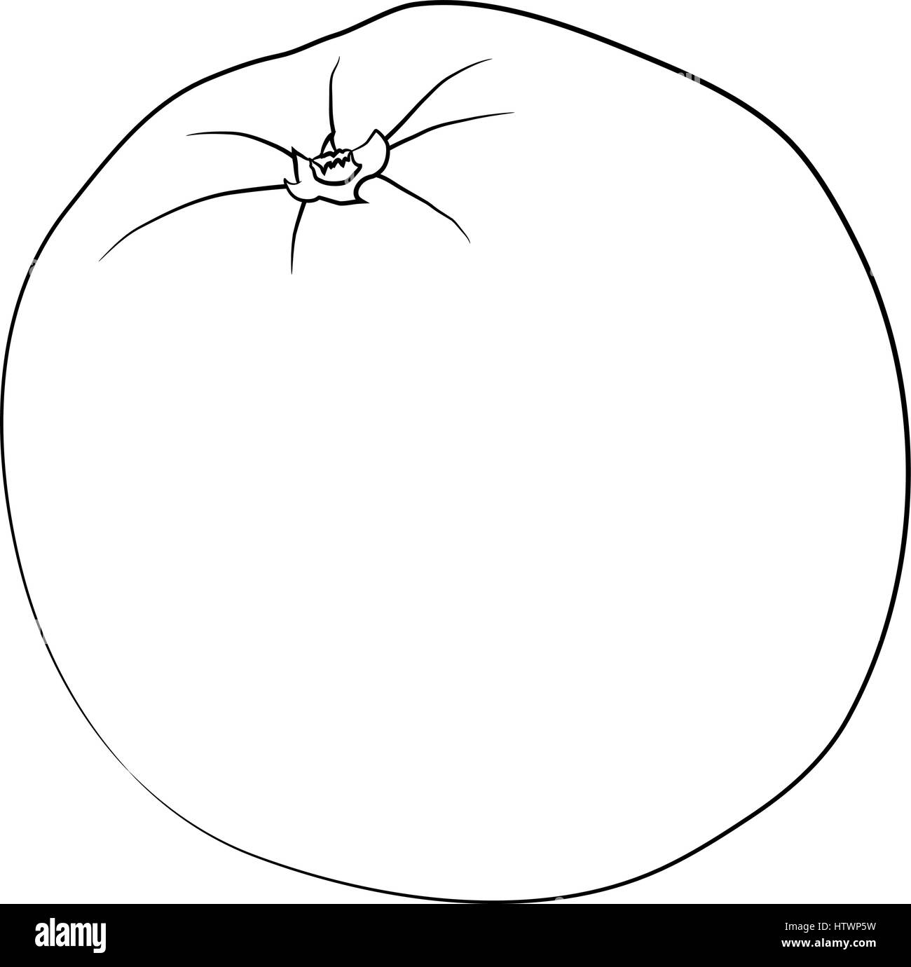 Illustration of Isolated Cartoon Orange. Vector EPS 8 Stock Vector ...