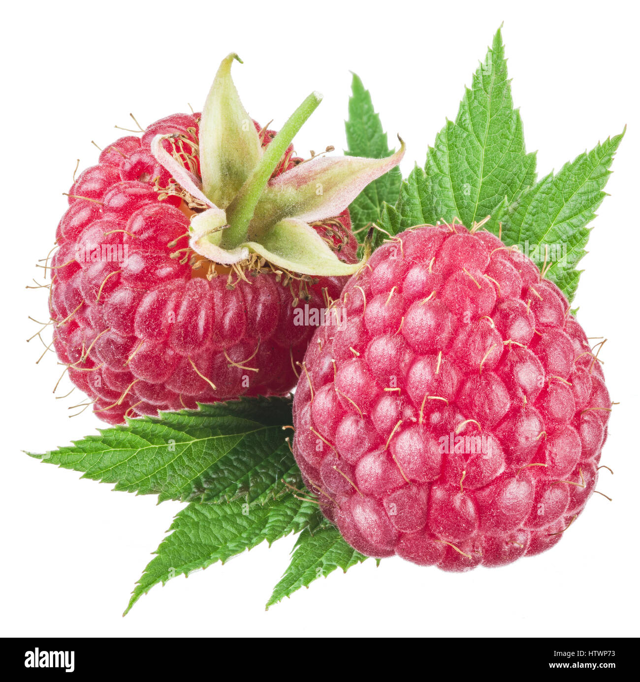 Two raspberries with leaves on the white background Stock Photo - Alamy