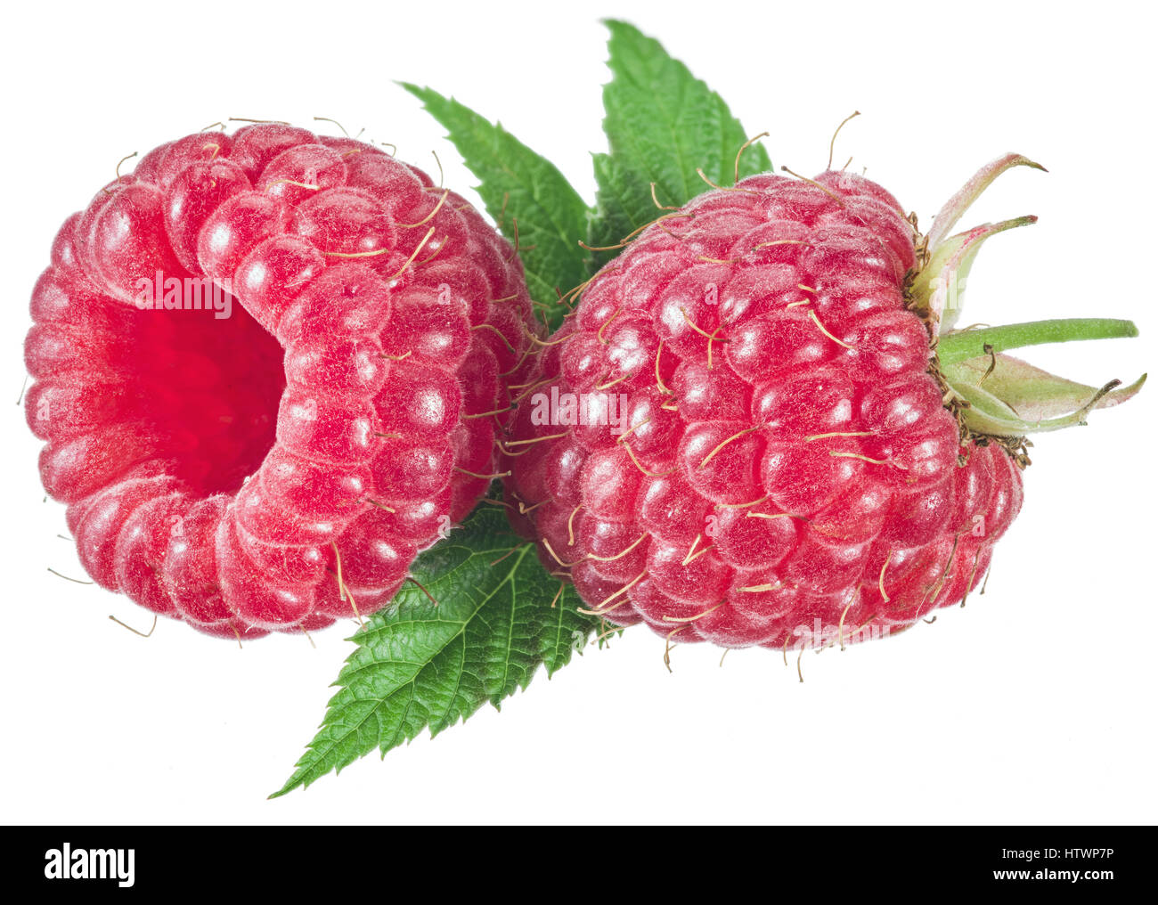 Two raspberries with leaves on the white background Stock Photo - Alamy