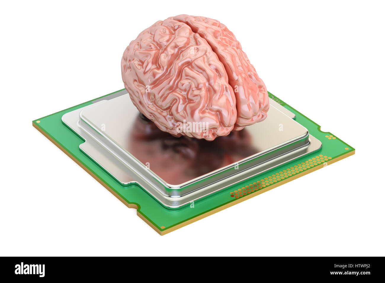 Human brain with computer processor, 3D rendering isolated on white ...
