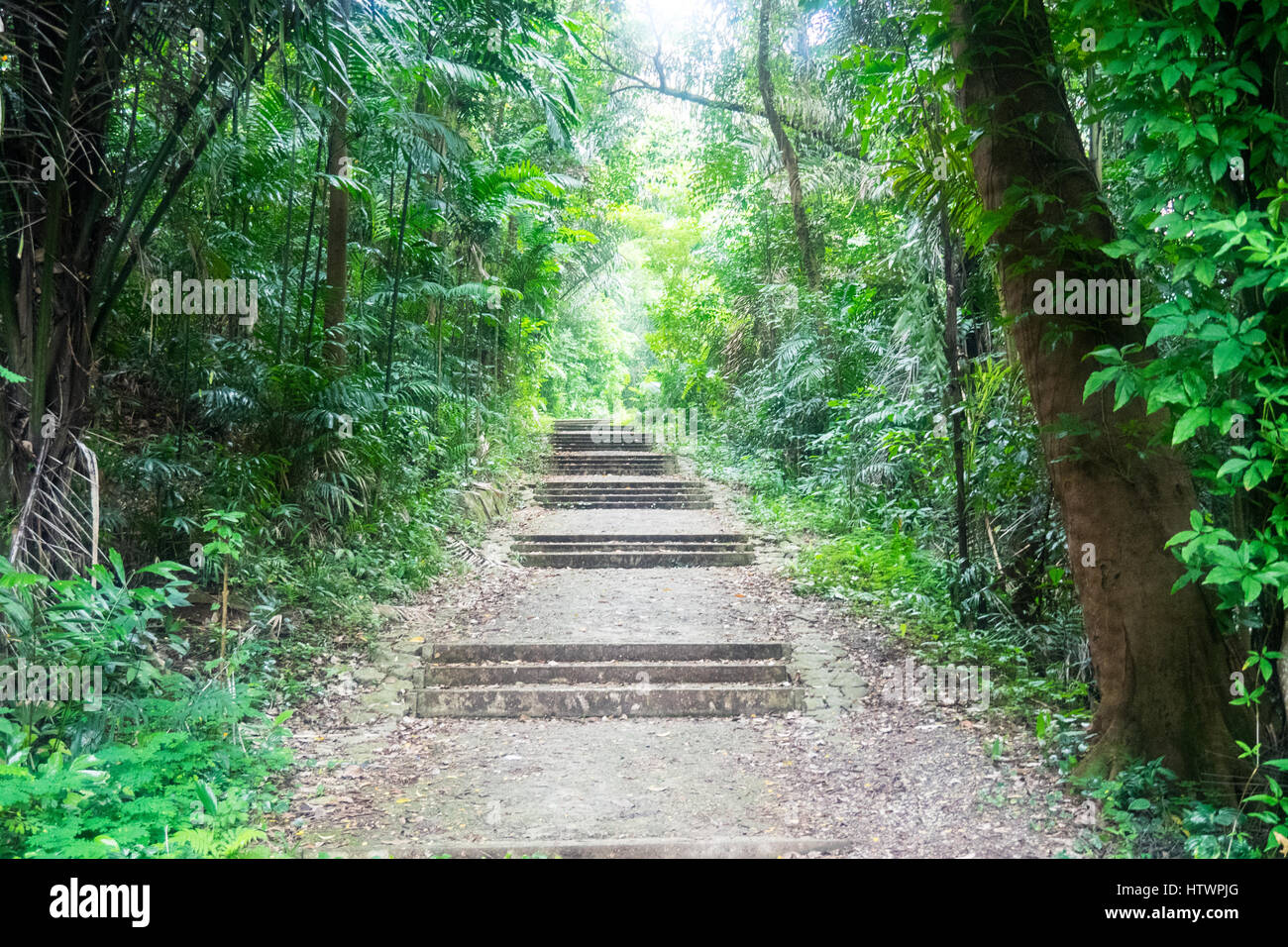 Marang trail hi-res stock photography and images - Alamy