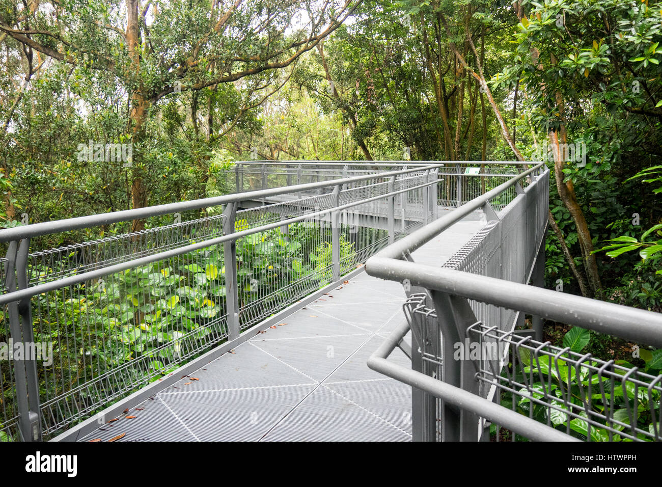 Kent Ridge Park Walking In The Trees: The Southern Ridges – Traveler